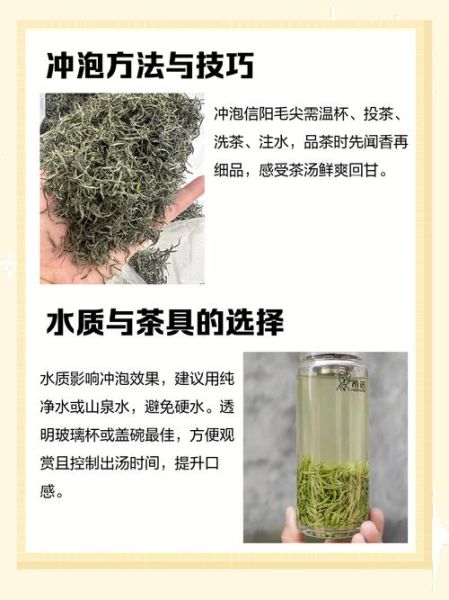 信阳毛尖怎么泡_信阳毛尖水温多少度-第1张图片-山城妙识 信阳毛尖怎么泡_信阳毛尖水温多少度-第1张图片-山城妙识