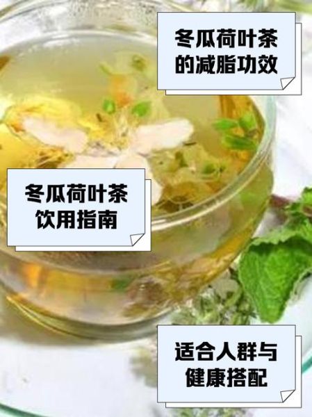 冬瓜荷叶茶能减肥吗_冬瓜荷叶茶禁忌有哪些-第3张图片-山城妙识