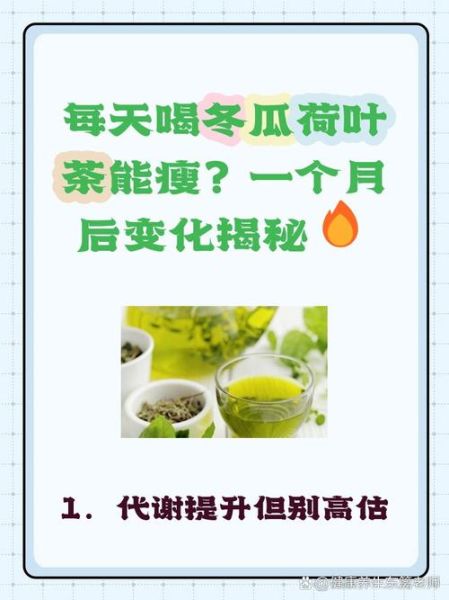 冬瓜荷叶茶能减肥吗_冬瓜荷叶茶禁忌有哪些-第2张图片-山城妙识