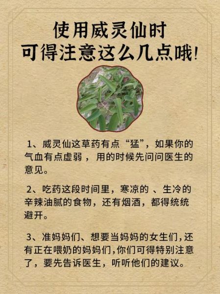 威灵仙的副作用有哪些_威灵仙长期服用安全吗-第2张图片-山城妙识