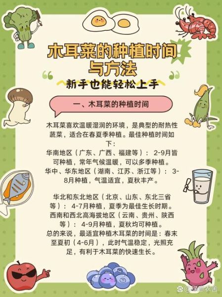 木耳菜又叫什么菜_木耳菜和落葵是同一种吗-第1张图片-山城妙识