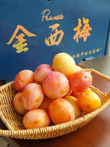 西梅什么时候成熟上市_西梅几月份吃最好-第1张图片-山城妙识