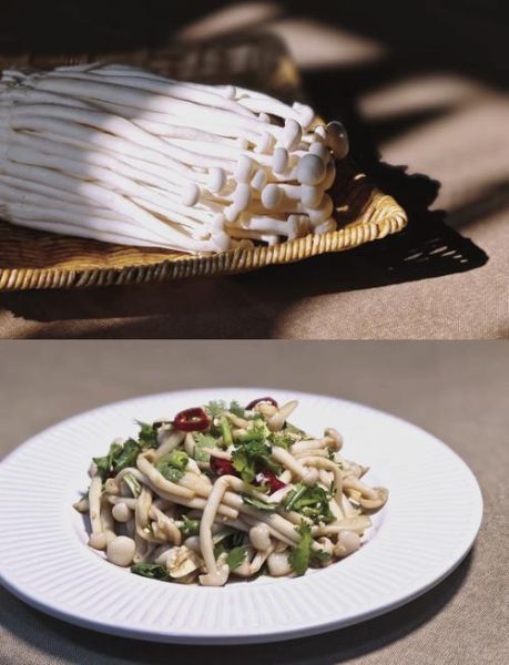 海鲜菇怎么做好吃_海鲜菇的家常做法-第1张图片-山城妙识