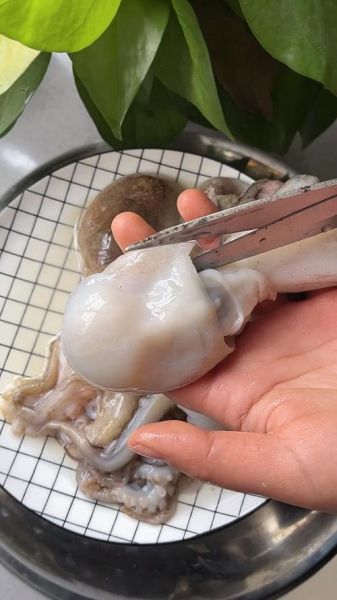 八爪鱼怎么清洗_八爪鱼清洗技巧-第2张图片-山城妙识