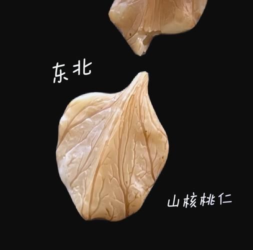 山核桃和普通核桃哪个营养价值高_区别对比-第2张图片-山城妙识 山核桃和普通核桃哪个营养价值高_区别对比-第2张图片-山城妙识