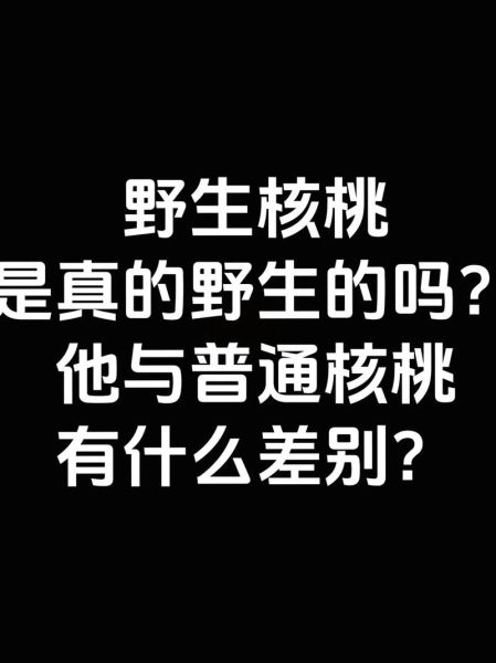 山核桃和普通核桃哪个营养价值高_区别对比-第1张图片-山城妙识 山核桃和普通核桃哪个营养价值高_区别对比-第1张图片-山城妙识