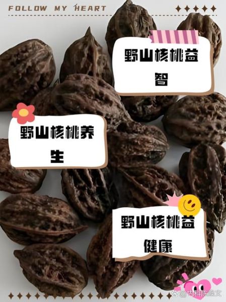 山核桃和普通核桃哪个营养价值高_区别对比-第3张图片-山城妙识 山核桃和普通核桃哪个营养价值高_区别对比-第3张图片-山城妙识