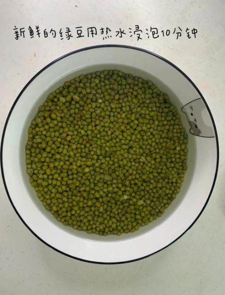 绿豆汤怎么煮不变色_绿豆汤不变色的正确方法-第1张图片-山城妙识