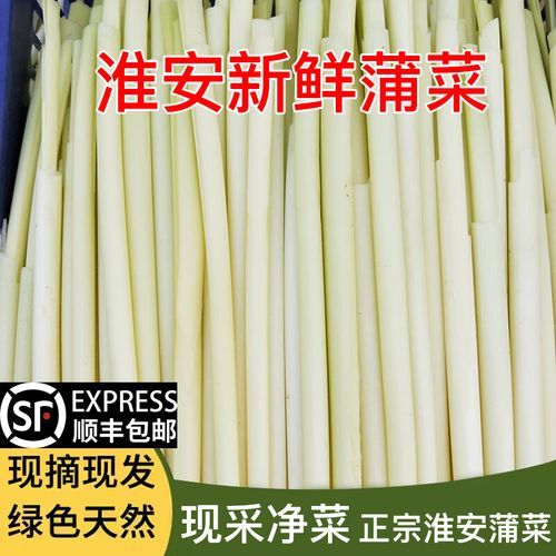 蒲笋怎么种_蒲笋生长周期多久-第1张图片-山城妙识 蒲笋怎么种_蒲笋生长周期多久-第1张图片-山城妙识