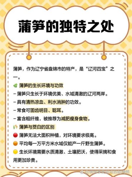 蒲笋怎么种_蒲笋生长周期多久-第2张图片-山城妙识 蒲笋怎么种_蒲笋生长周期多久-第2张图片-山城妙识
