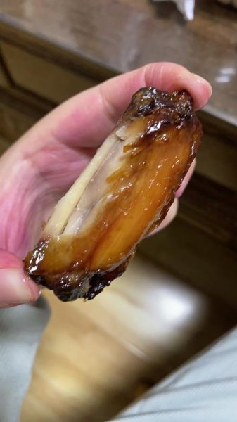 风干鸡翅怎么腌制_风干鸡翅烤箱温度时间-第2张图片-山城妙识