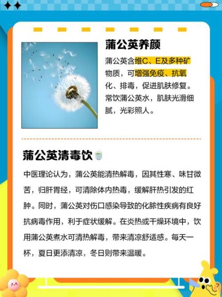 湿气重的人能喝蒲公英吗_蒲公英去湿还是助湿-第3张图片-山城妙识 湿气重的人能喝蒲公英吗_蒲公英去湿还是助湿-第3张图片-山城妙识