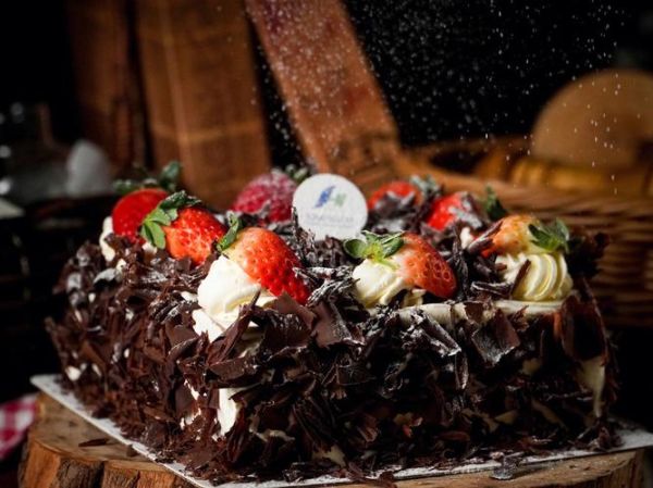 味多美黑森林蛋糕好吃吗_味多美黑森林蛋糕口感怎么样-第3张图片-山城妙识