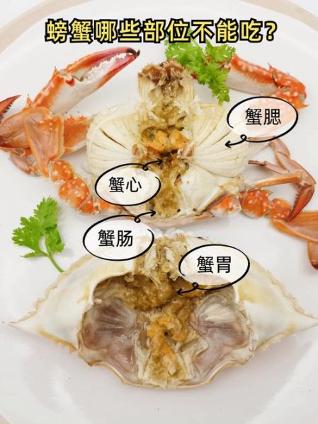 螃蟹哪些部位不能吃_吃螃蟹的禁忌部位-第2张图片-山城妙识 螃蟹哪些部位不能吃_吃螃蟹的禁忌部位-第2张图片-山城妙识