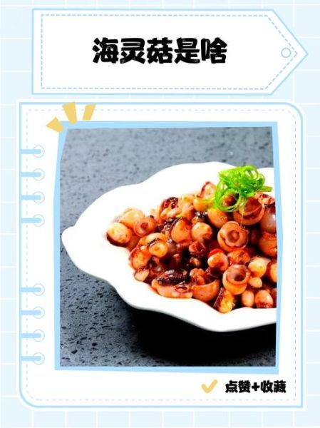 海灵菇是什么_海灵菇长在海底哪里-第3张图片-山城妙识 海灵菇是什么_海灵菇长在海底哪里-第3张图片-山城妙识