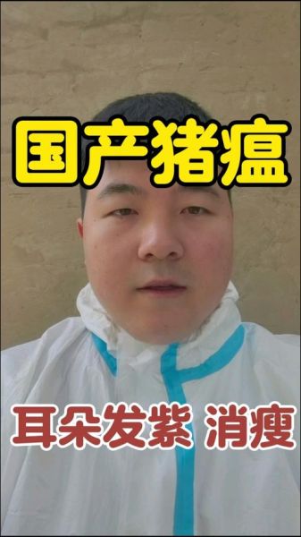 猪瘟治愈的最快方法_猪瘟几天能好-第3张图片-山城妙识