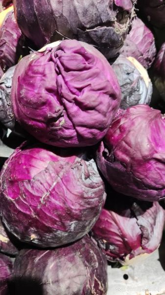 凉拌紫甘蓝热量_减肥能吃吗-第3张图片-山城妙识