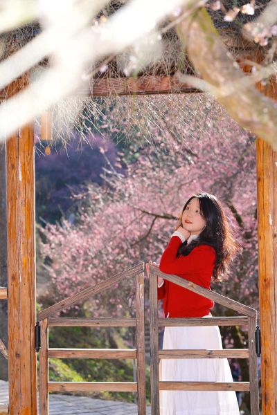 梅花视频怎么下载_梅花视频安全吗-第3张图片-山城妙识