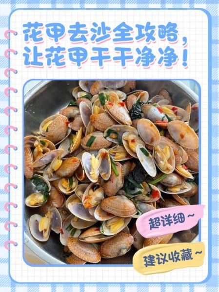 花甲怎么清洗才没沙_花甲吐沙最快的方法-第3张图片-山城妙识