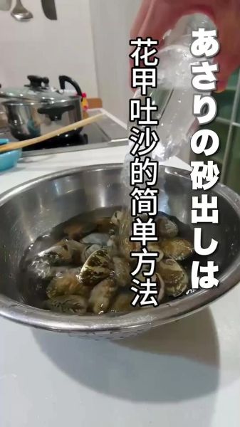 花甲怎么清洗才没沙_花甲吐沙最快的方法-第1张图片-山城妙识