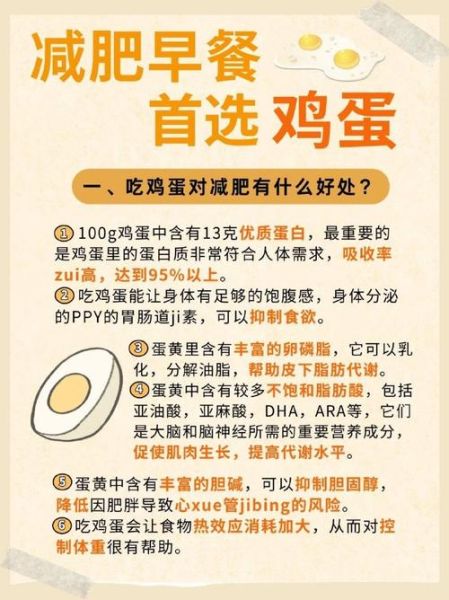 减肥一天吃几个鸡蛋好_鸡蛋减肥一天吃几个合适-第2张图片-山城妙识