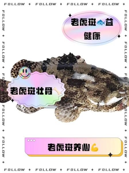 老虎斑鱼什么人不能吃_老虎斑鱼禁忌有哪些-第1张图片-山城妙识 老虎斑鱼什么人不能吃_老虎斑鱼禁忌有哪些-第1张图片-山城妙识