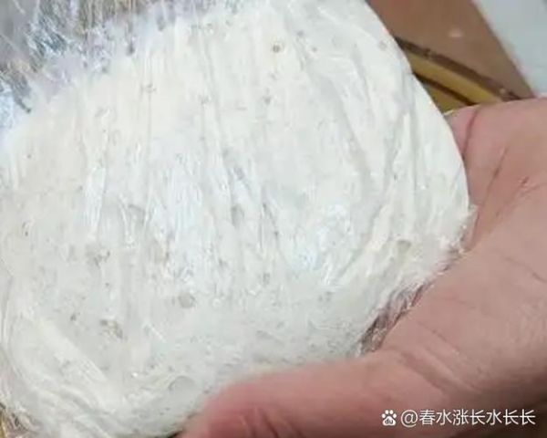 稀面发面软饼怎么做_为什么总是发不起来-第2张图片-山城妙识 稀面发面软饼怎么做_为什么总是发不起来-第2张图片-山城妙识