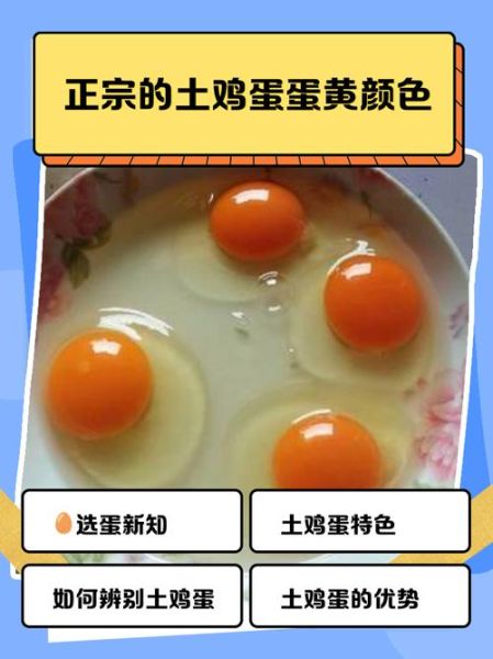 土鸡蛋的蛋黄是什么颜色_土鸡蛋蛋黄颜色越深越好吗-第1张图片-山城妙识