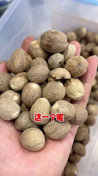 肉蔻和草果的区别_哪个更适合炖肉-第3张图片-山城妙识 肉蔻和草果的区别_哪个更适合炖肉-第3张图片-山城妙识