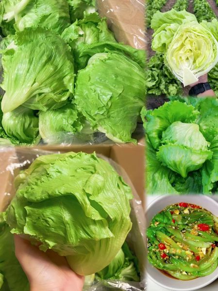 球生菜怎么炒好吃_球生菜凉拌做法-第2张图片-山城妙识