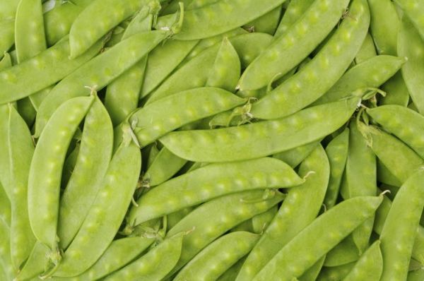 豌豆荚普通下载安装教程_豌豆荚普通版怎么下载-第3张图片-山城妙识 豌豆荚普通下载安装教程_豌豆荚普通版怎么下载-第3张图片-山城妙识