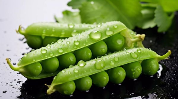 豌豆荚普通下载安装教程_豌豆荚普通版怎么下载-第1张图片-山城妙识 豌豆荚普通下载安装教程_豌豆荚普通版怎么下载-第1张图片-山城妙识