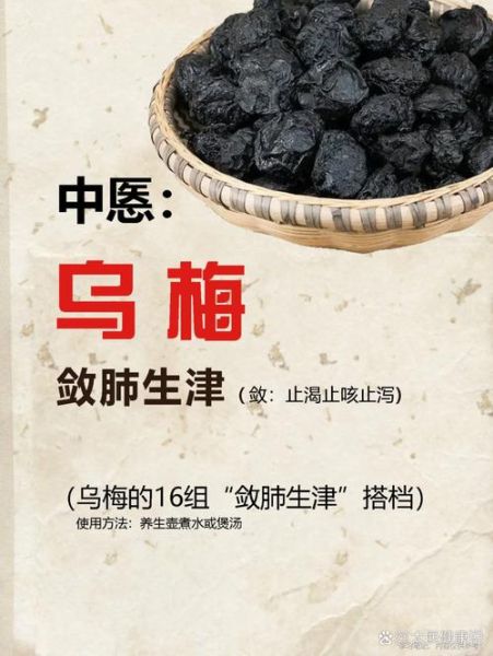 乌梅的功效与作用及禁忌_孕妇能吃吗-第3张图片-山城妙识