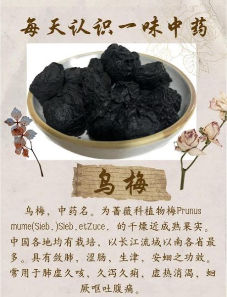 乌梅的功效与作用及禁忌_孕妇能吃吗-第1张图片-山城妙识