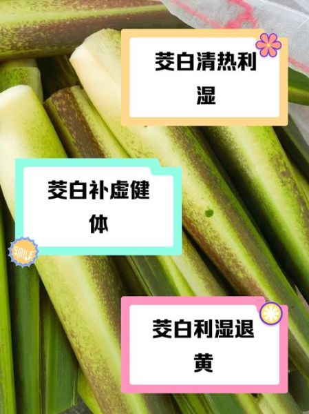 茭白是发物吗_术后能吃茭白吗-第1张图片-山城妙识