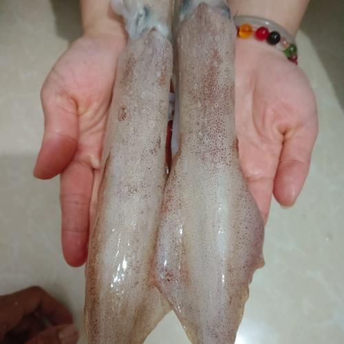 小鱿鱼仔怎么处理_冷冻小鱿鱼仔怎么清洗-第2张图片-山城妙识