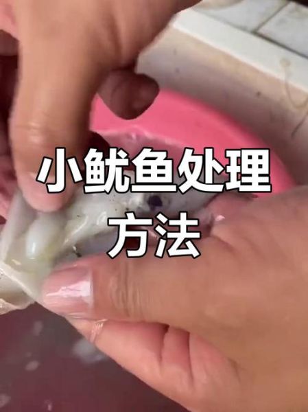 小鱿鱼仔怎么处理_冷冻小鱿鱼仔怎么清洗-第1张图片-山城妙识