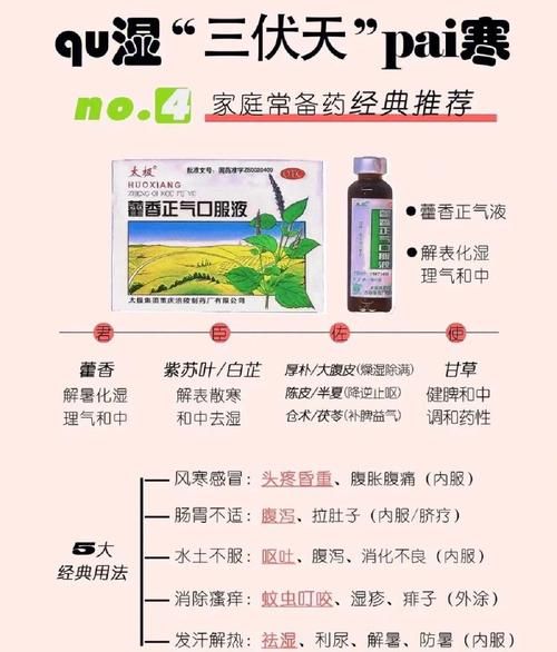 藿香的功效与作用_藿香正气水怎么用-第1张图片-山城妙识