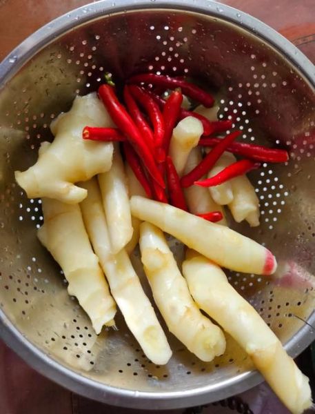 学做四川泡菜怎么做_四川泡菜用什么容器最好-第3张图片-山城妙识