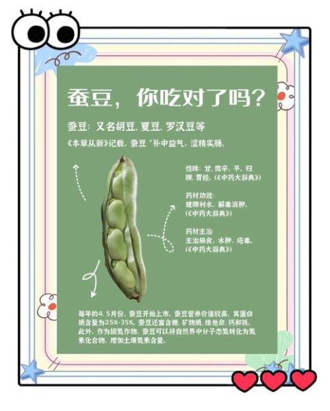 蚕豆不能和什么一起吃_蚕豆相克食物有哪些-第2张图片-山城妙识 蚕豆不能和什么一起吃_蚕豆相克食物有哪些-第2张图片-山城妙识