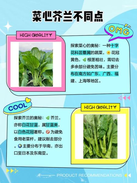 菜心和芥蓝的区别_如何一眼区分菜心芥蓝-第1张图片-山城妙识 菜心和芥蓝的区别_如何一眼区分菜心芥蓝-第1张图片-山城妙识