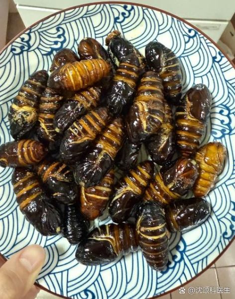 蝉蛹过敏怎么办_蝉蛹过敏症状有哪些-第2张图片-山城妙识