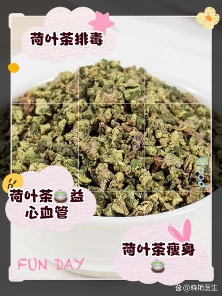荷叶茶喝多了有什么害处_荷叶茶副作用有哪些-第1张图片-山城妙识