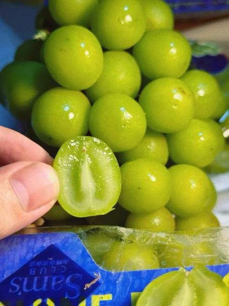 提子一天最多吃几颗_吃多了会怎样-第2张图片-山城妙识