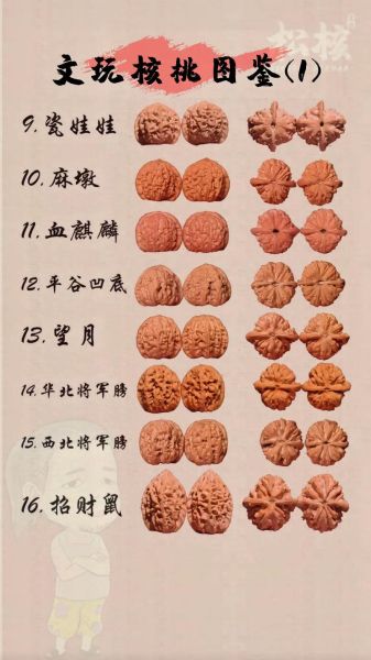 2021文玩核桃前十名_哪些品种值得入手-第2张图片-山城妙识