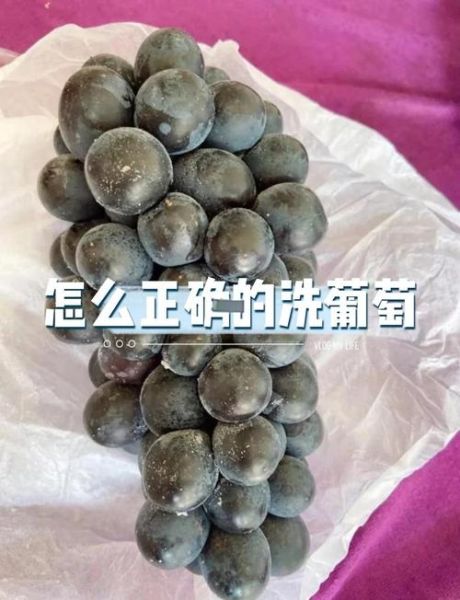 如何洗葡萄最干净_葡萄怎么洗才没有白霜-第1张图片-山城妙识 如何洗葡萄最干净_葡萄怎么洗才没有白霜-第1张图片-山城妙识