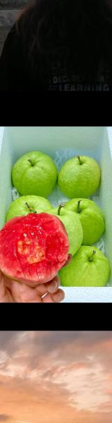 来姨妈吃石榴月经突然没了_石榴止经血是真的吗-第3张图片-山城妙识 来姨妈吃石榴月经突然没了_石榴止经血是真的吗-第3张图片-山城妙识