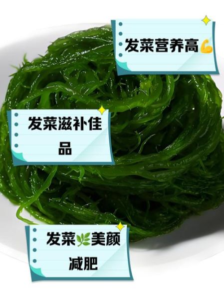 发菜是原核生物吗_发菜属于真核还是原核-第3张图片-山城妙识