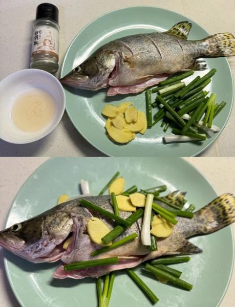 清蒸丁桂鱼怎么做好吃_清蒸丁桂鱼的做法窍门-第1张图片-山城妙识