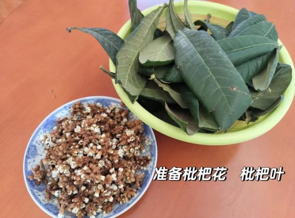 自制枇杷膏的禁忌_哪些人不能吃枇杷膏-第3张图片-山城妙识